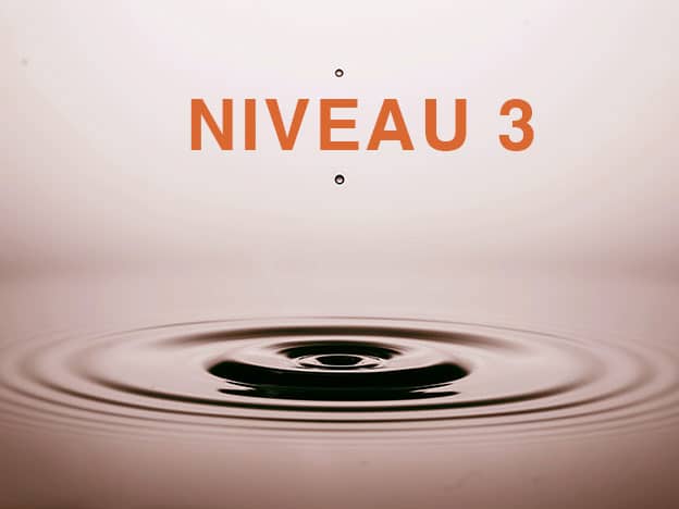 La Process Com niveau 3 - Confirmé - Laera